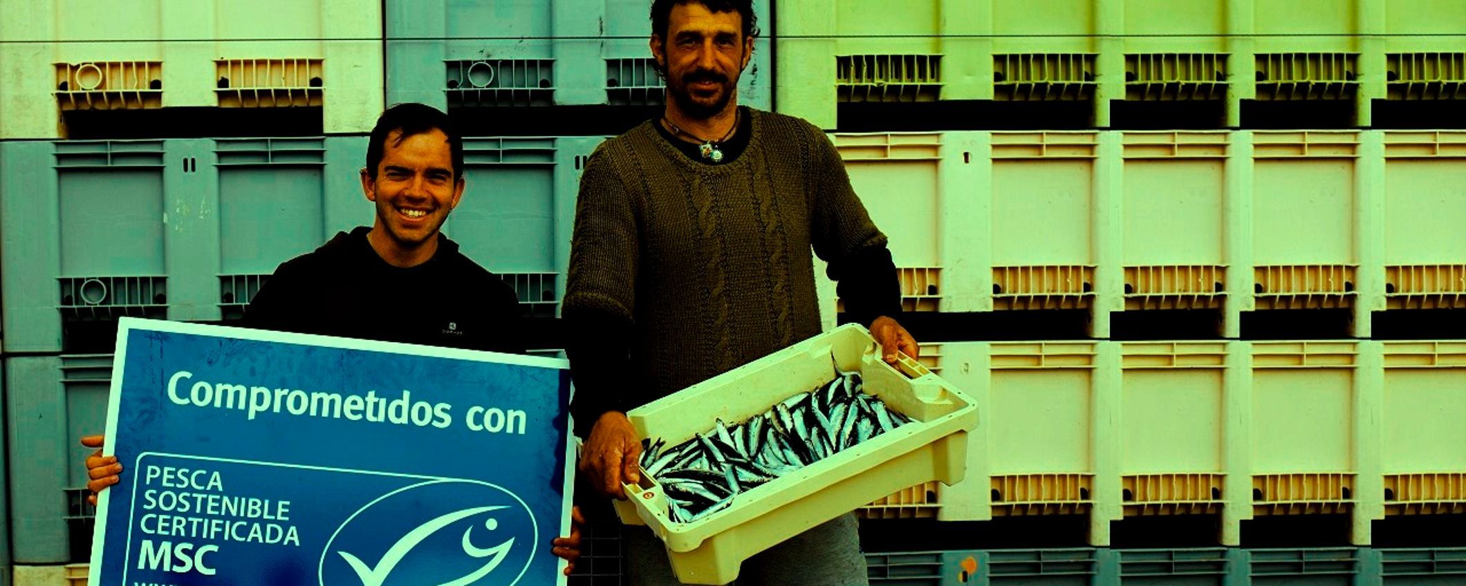 MSC: pescado con sello azul por un mar vivo | La Revista Triodos ...